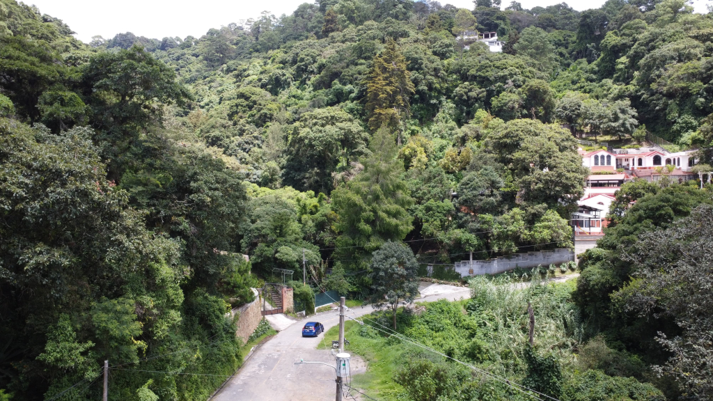 Terreno en Venta El Encinal zona 7 Mixco - Plus Inmueblesgt